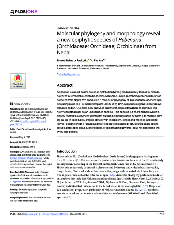 (PDF) Molecular phylogeny and morphology reveal a new epiphytic species of Habenaria ...