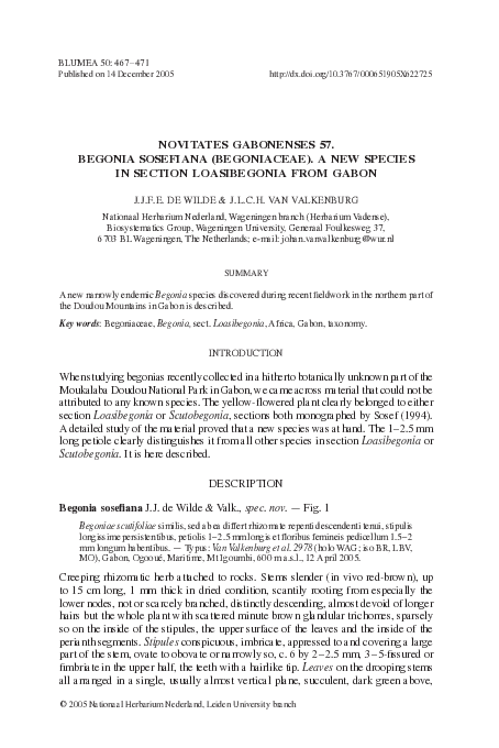 (PDF) Novitates Gabonenses 57. Begonia Sosefiana (Begoniaceae). A New ...