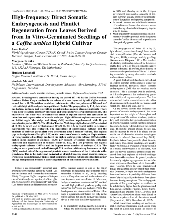(PDF) High-frequency Direct Somatic Embryogenesis and Plantlet ...