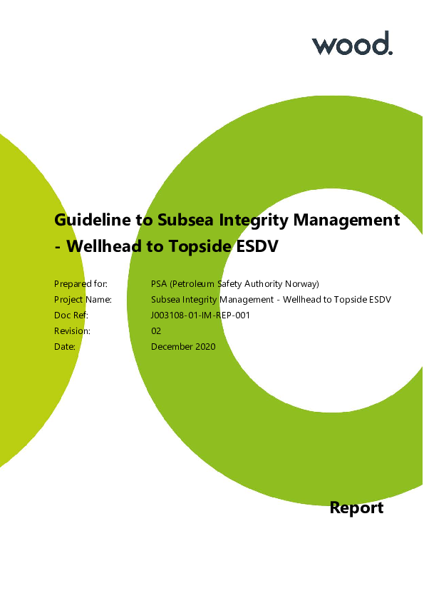 (PDF) Guideline to subsea integrity management