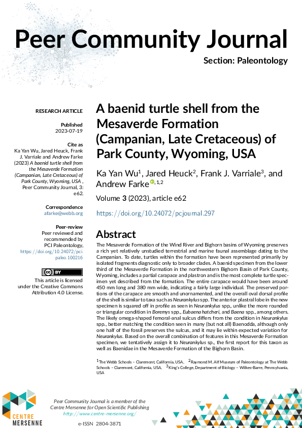 (PDF) A baenid turtle shell from the Mesaverde Formation (Campanian ...