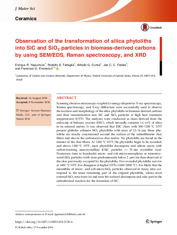 (PDF) Observation of the transformation of silica phytoliths into SiC ...