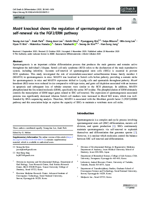 (PDF) Mast4 knockout shows the regulation of spermatogonial stem cell ...