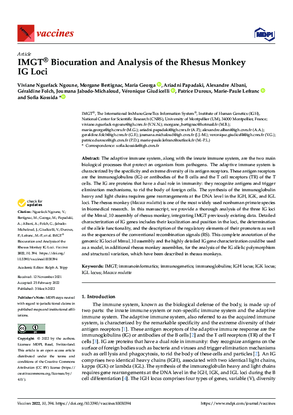 (PDF) IMGT® Biocuration and Analysis of the Rhesus Monkey IG Loci