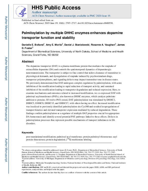 (PDF) Palmitoylation by Multiple DHHC Enzymes Enhances Dopamine ...