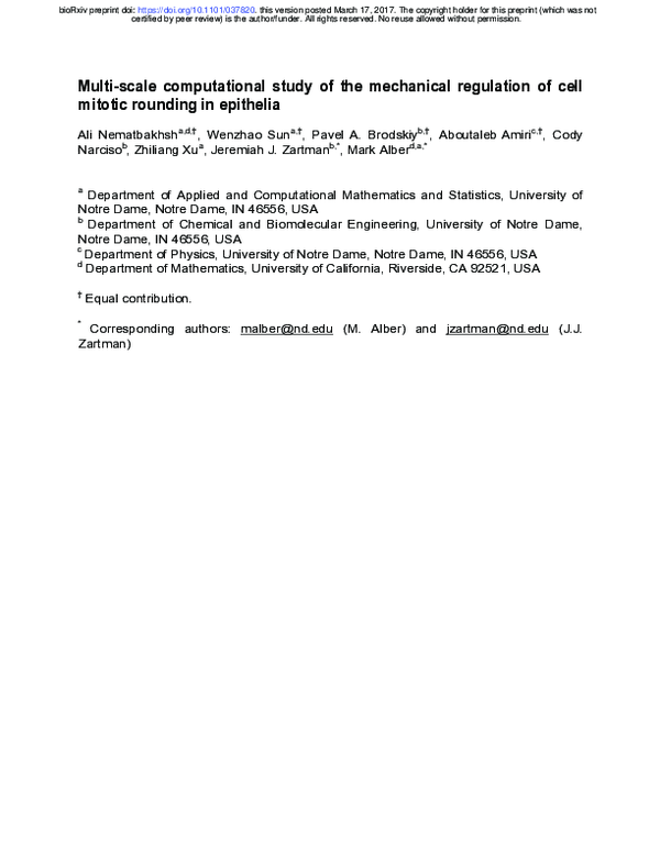 (PDF) Multi-scale computational study of the mechanical regulation of cell mitotic rounding in ...