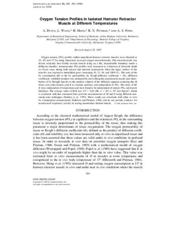 (PDF) Oxygen Tension Profiles in Isolated Hamster Retractor Muscle at ...