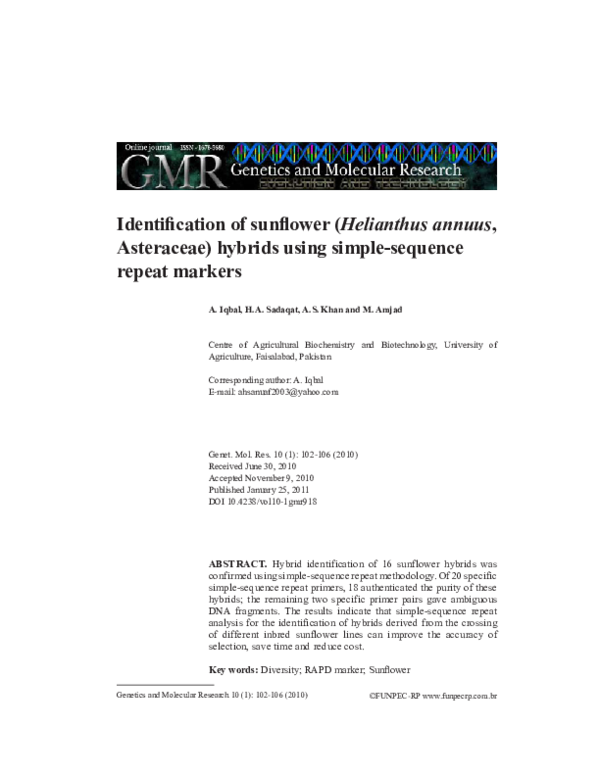 (PDF) Identification of sunflower (Helianthus annuus, Asteraceae ...