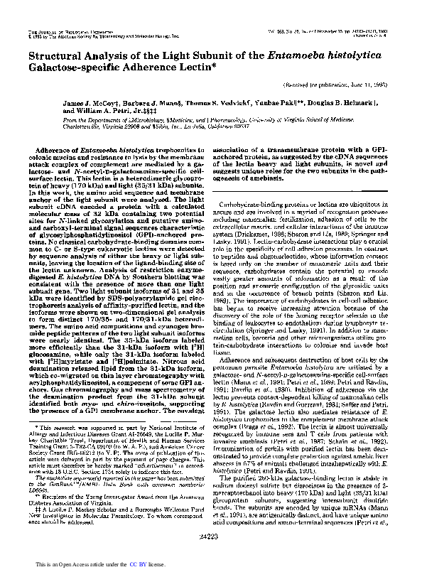 (PDF) Structural analysis of the light subunit of the Entamoeba ...