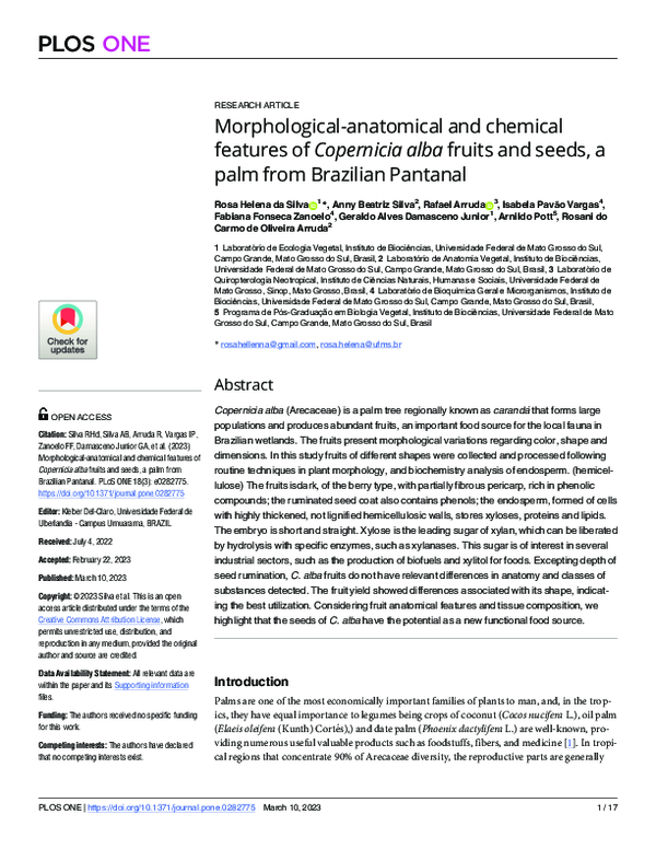 (PDF) Morphological-anatomical and chemical features of Copernicia alba fruits and seeds, a palm ...