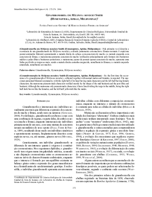 (PDF) Ginandromorfia em Melipona mondury Smith (Hymenoptera, Apidae ...