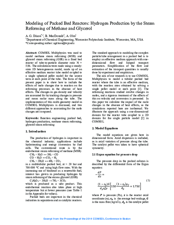 (PDF) Modeling of Packed Bed Reactors: Hydrogen Production by the Steam ...