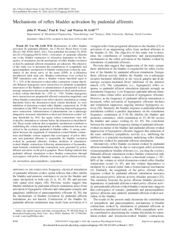 (PDF) Mechanisms of reflex bladder activation by pudendal afferents