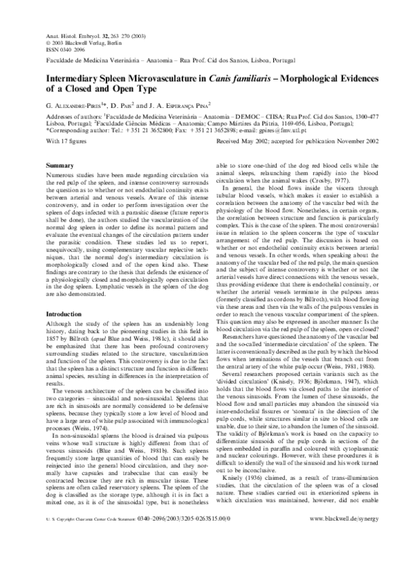 (PDF) Intermediary Spleen Microvasculature in Canis familiaris ...
