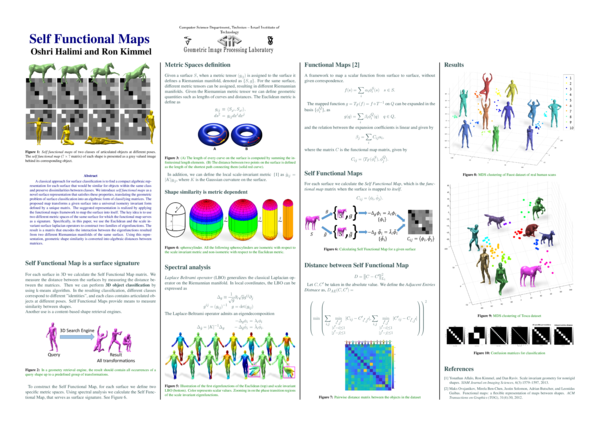 (PDF) Self Functional Maps