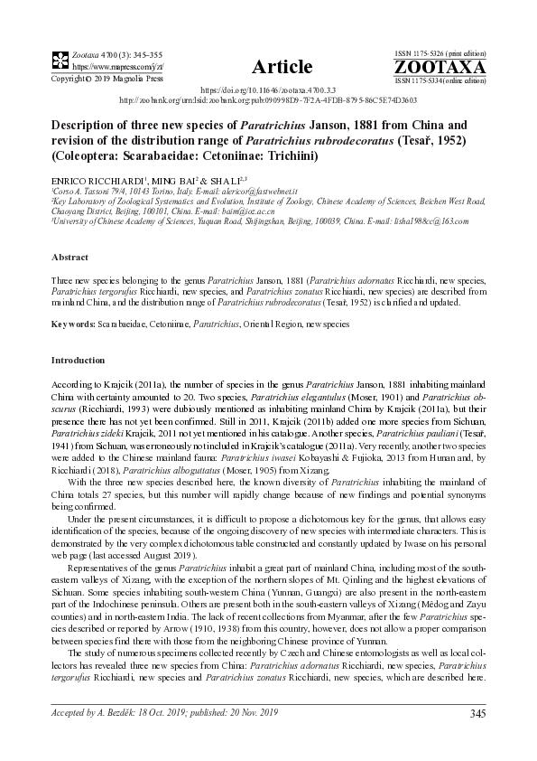 (PDF) Description of three new species of Paratrichius Janson, 1881 ...