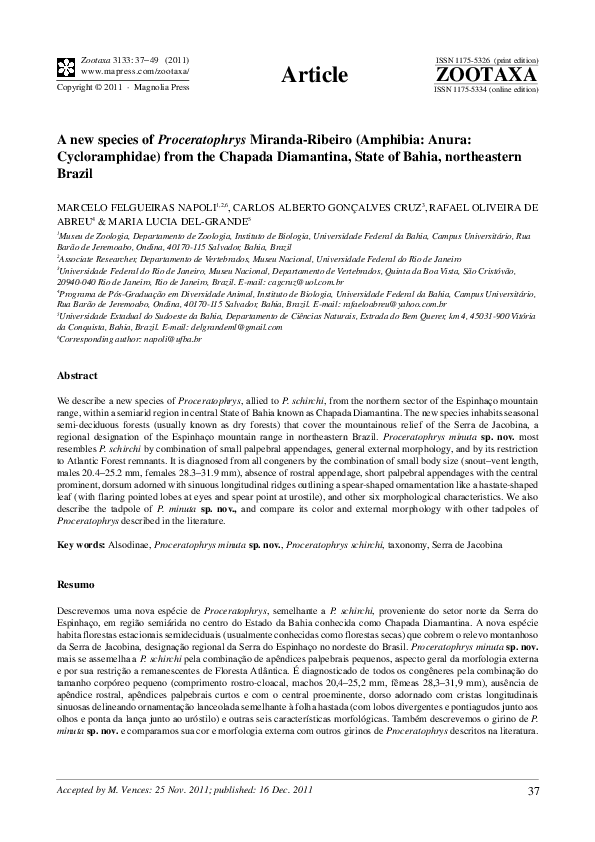 (PDF) A new species of Proceratophrys Miranda-Ribeiro (Amphibia: Anura ...
