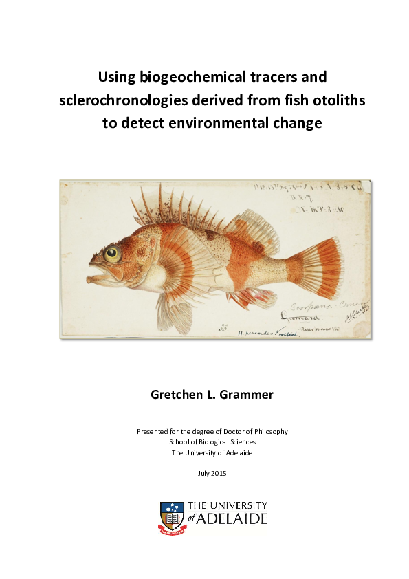 (PDF) Using biogeochemical tracers and sclerochronologies derived from fish otoliths to detect ...