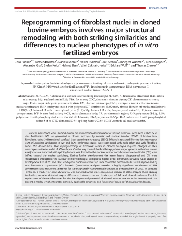 (PDF) Reprogramming of fibroblast nuclei in cloned bovine embryos ...