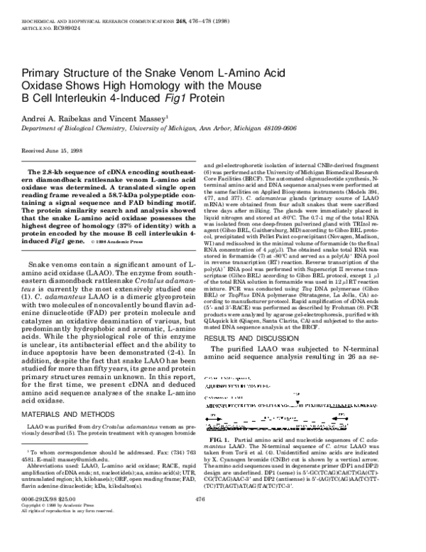 (PDF) Primary Structure of the Snake Venom L-Amino Acid Oxidase Shows ...