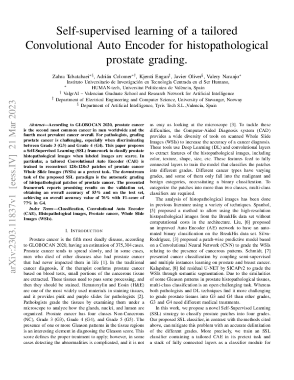 (PDF) Self-supervised learning of a tailored Convolutional Auto Encoder ...