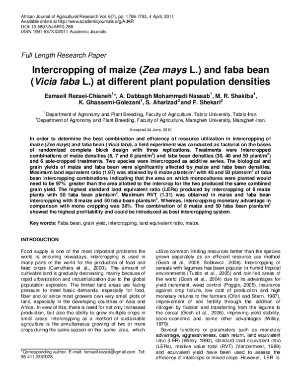 (PDF) Intercropping of maize ( Zea mays L.) and faba bean (Vicia faba L.) at different plant ...