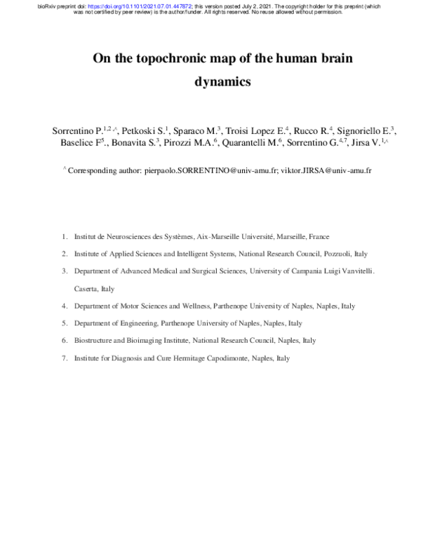 (PDF) On the topochronic map of the human brain dynamics