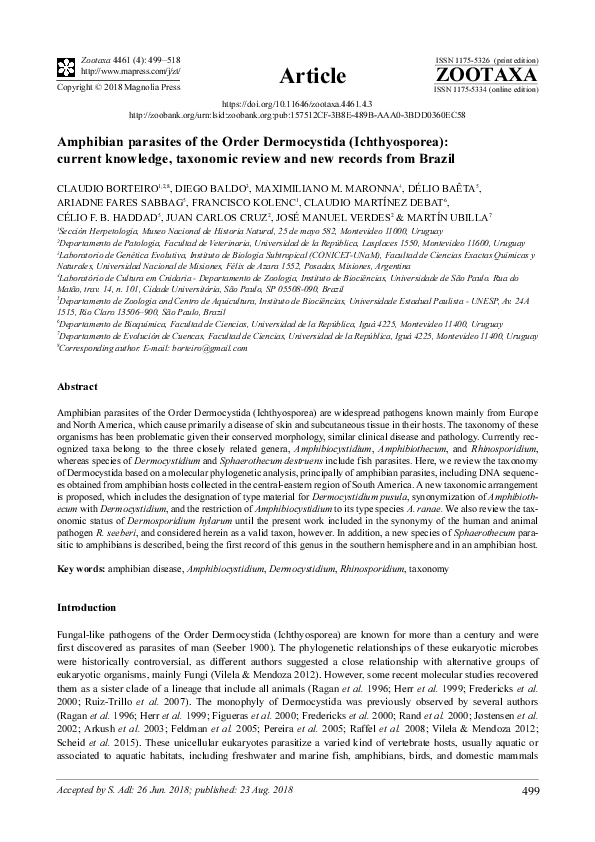 (PDF) Amphibian parasites of the Order Dermocystida (Ichthyosporea ...