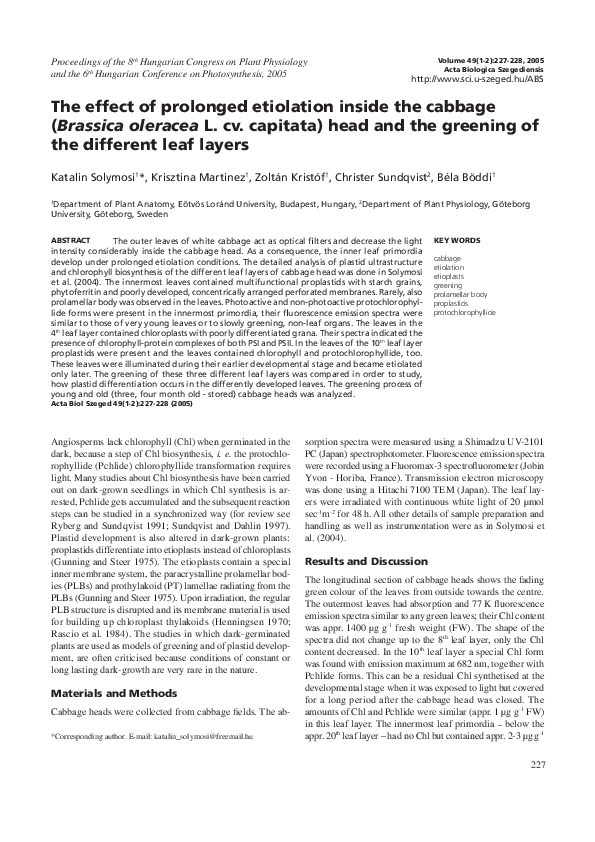(PDF) The effect of prolonged etiolation inside the cabbage (Brassica ...