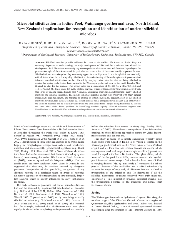(PDF) Microbial silicification in Iodine Pool, Waimangu geothermal area ...