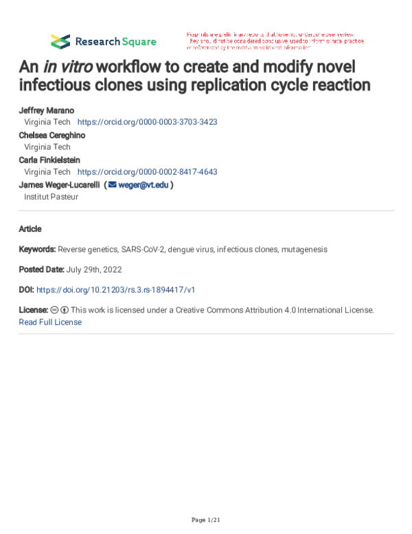 (PDF) An in vitro workflow to create and modify novel infectious clones ...