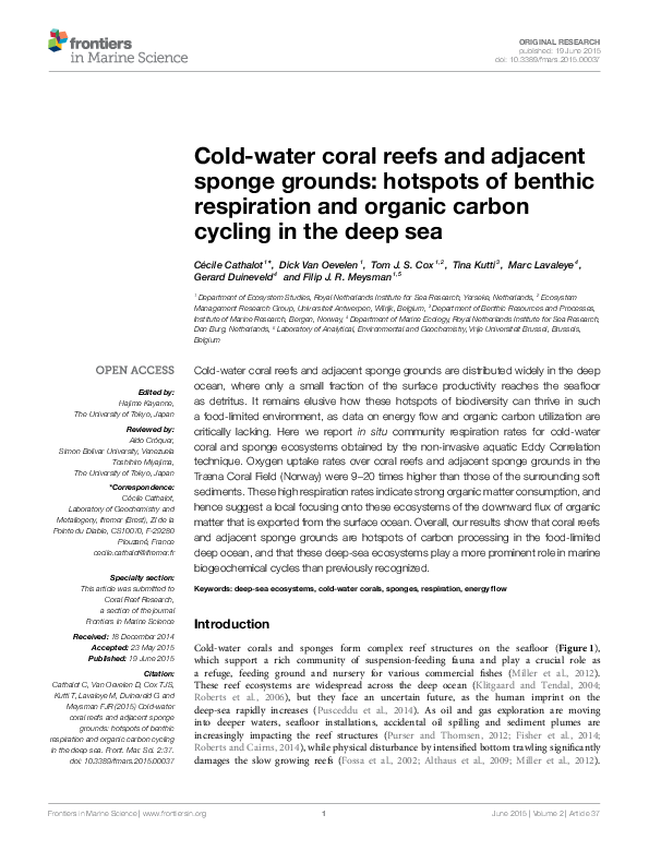 (PDF) Cold-water coral reefs and adjacent sponge grounds: hotspots of benthic respiration and ...