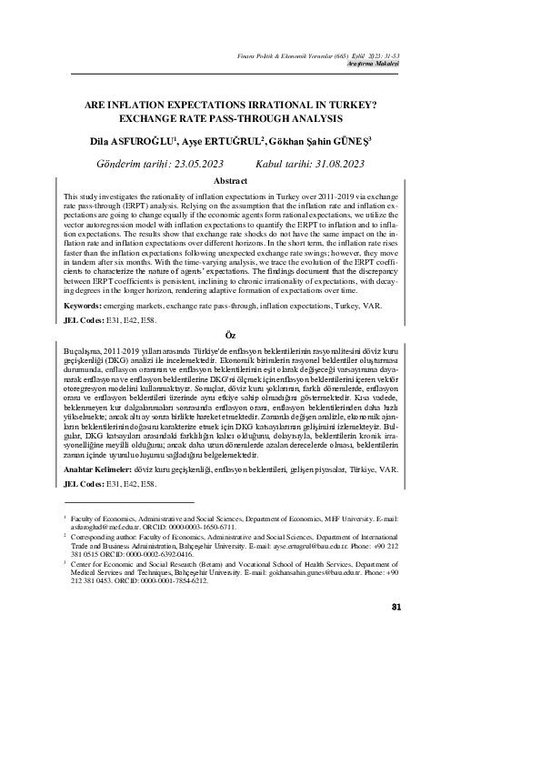 (PDF) ARE INFLATION EXPECTATIONS IRRATIONAL IN TURKEY? EXCHANGE RATE ...