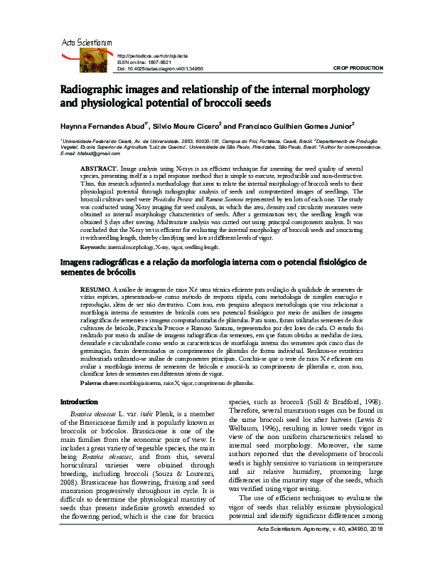 (PDF) Radiographic images and relationship of the internal morphology ...
