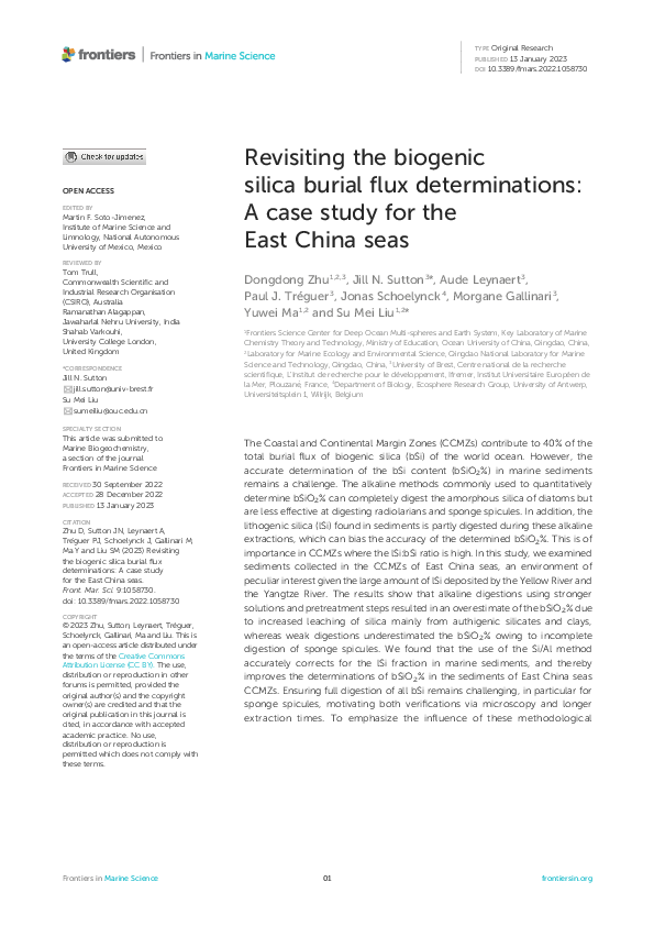 (PDF) Revisiting the biogenic silica burial flux determinations: A case ...