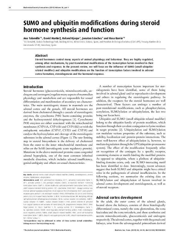 (PDF) SUMO and ubiquitin modifications during steroid hormone synthesis ...