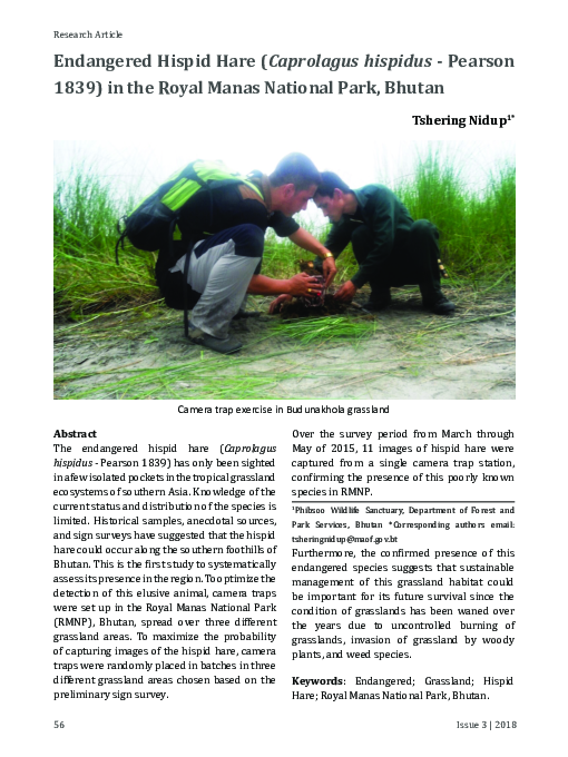 (PDF) Endangered Hispid Hare (Caprolagus hispidus-Pearson 1839) in the ...