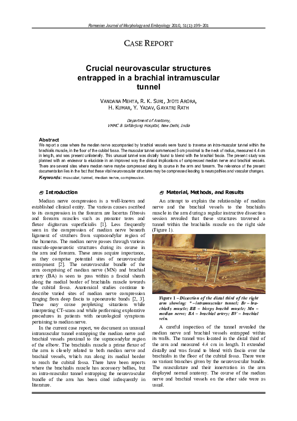 (PDF) Crucial neurovascular structures entrapped in a brachial ...
