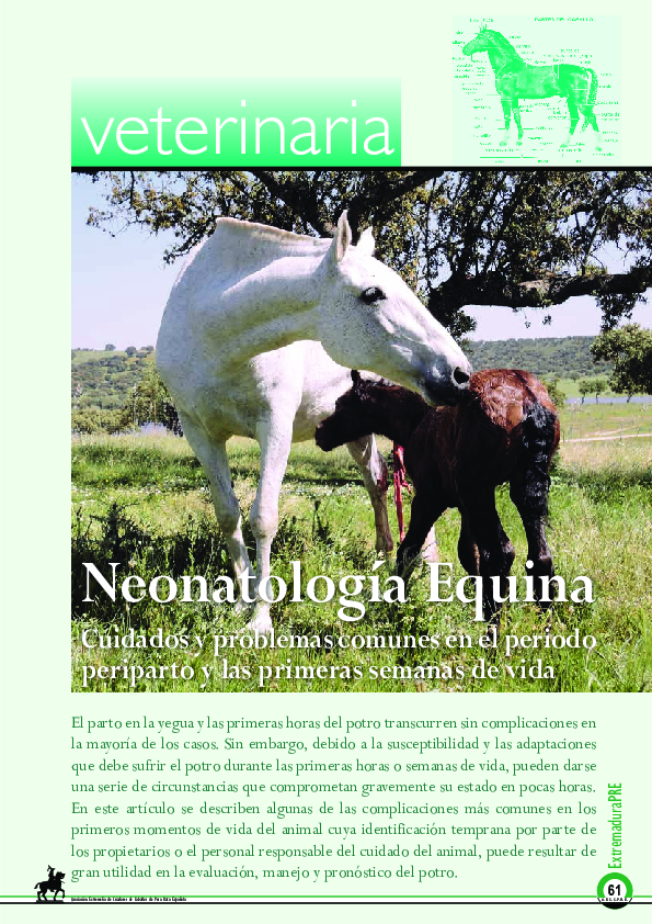 (PDF) Neonatología equina: cuidados y problemas comunes en el periodo periparto y las primeras ...