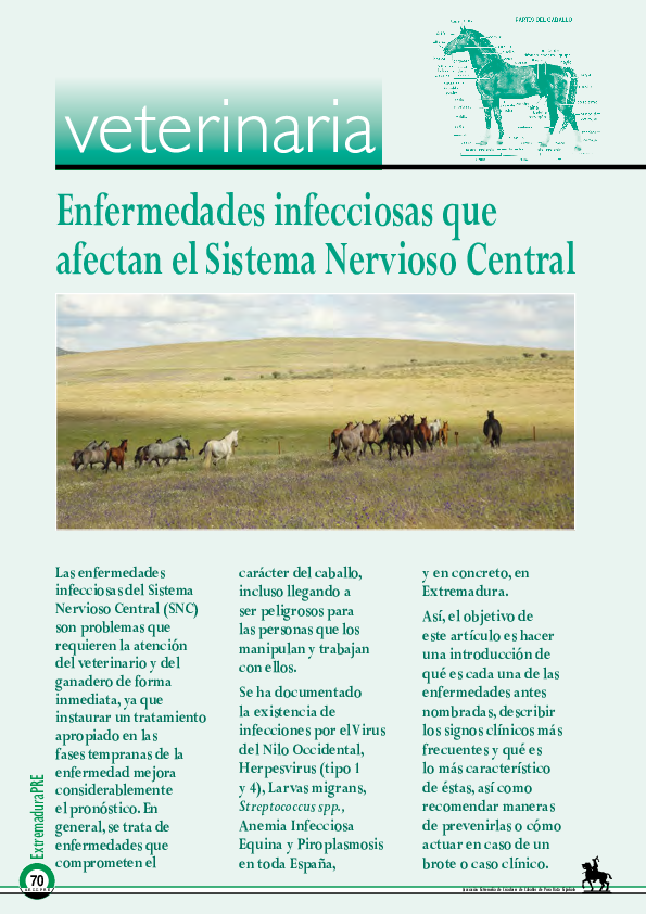 (PDF) Enfermedades infecciosas que afectan al Sistema Nervioso Central