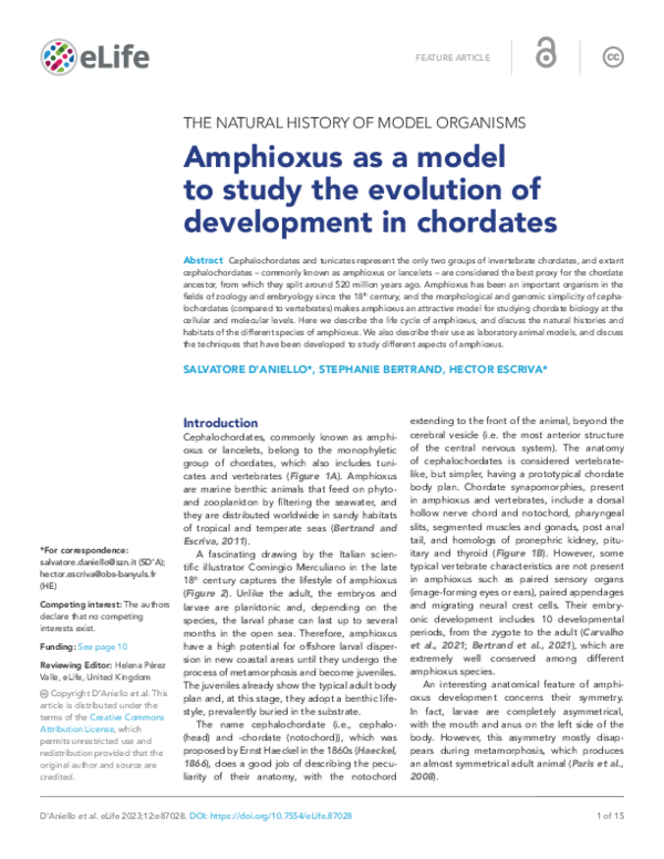 (PDF) Amphioxus as a model to study the evolution of development in ...