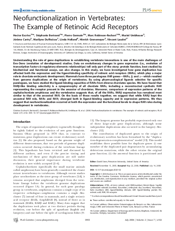 (PDF) Neofunctionalization in Vertebrates: The Example of Retinoic Acid ...