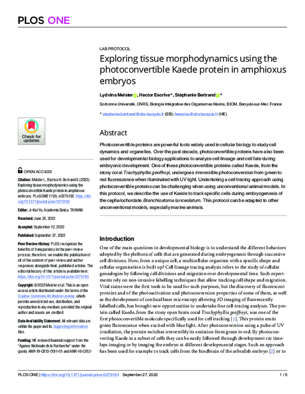 (PDF) Exploring tissue morphodynamics using the photoconvertible Kaede ...