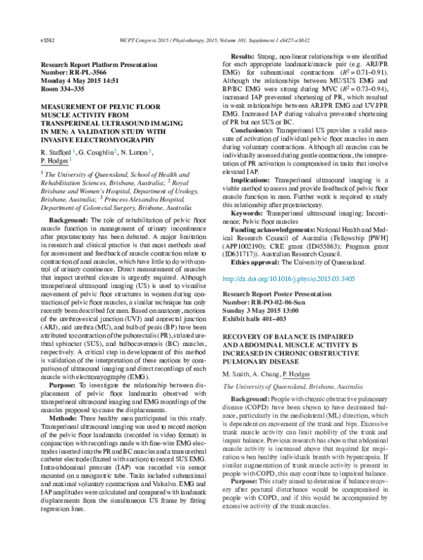 (PDF) Measurement of pelvic floor muscle activity from transperineal ...