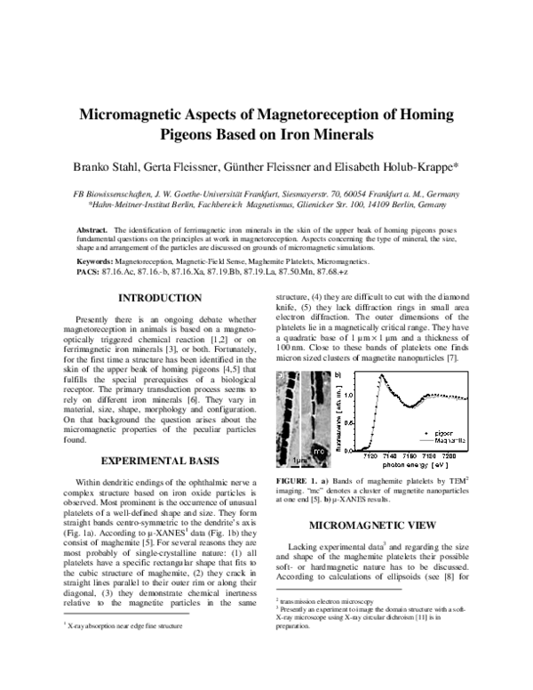 (PDF) Micromagnetic Aspects of Magnetoreception of Homing Pigeons Based ...