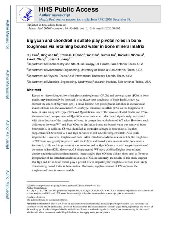 (PDF) Biglycan and chondroitin sulfate play pivotal roles in bone ...
