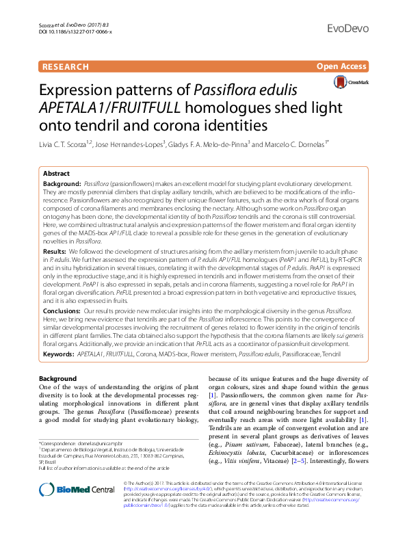 (PDF) Expression patterns of Passiflora edulis APETALA1/FRUITFULL ...