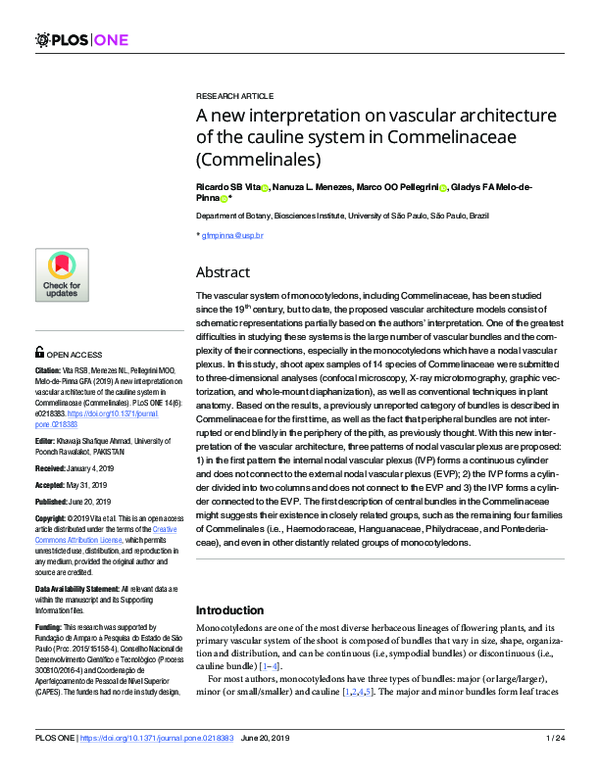 (PDF) A new interpretation on vascular architecture of the cauline ...