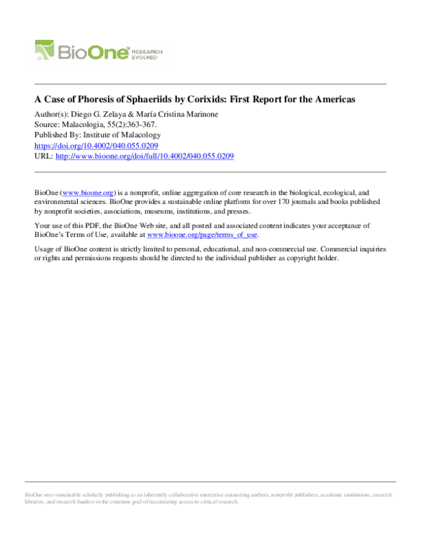 (PDF) A Case of Phoresis of Sphaeriids by Corixids: First Report for ...