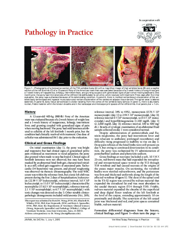(PDF) Pathology in Practice
